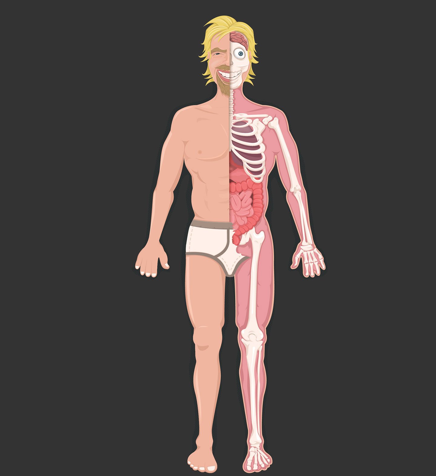 Anatomy poster